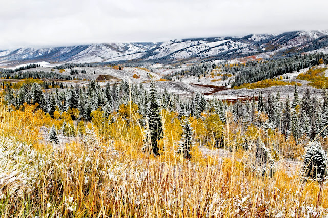 A Little Cuppa Tea: Fall: Sundance, Utah & Wyoming