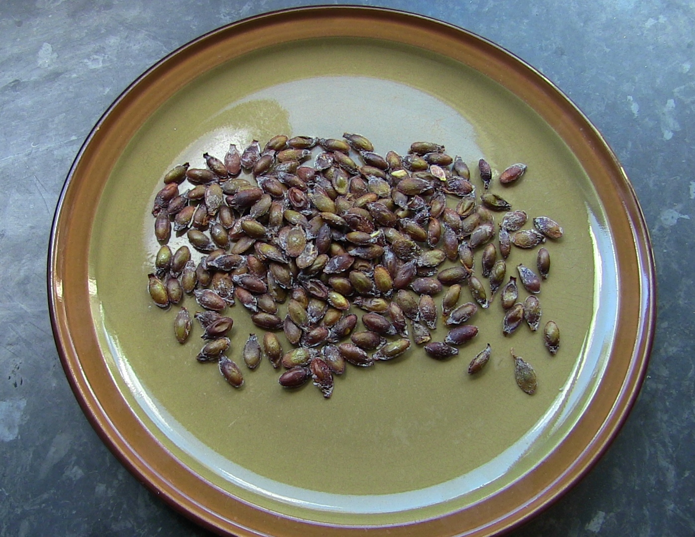 A Woodsrunner's Diary: Kakai Squash. Trail Food.