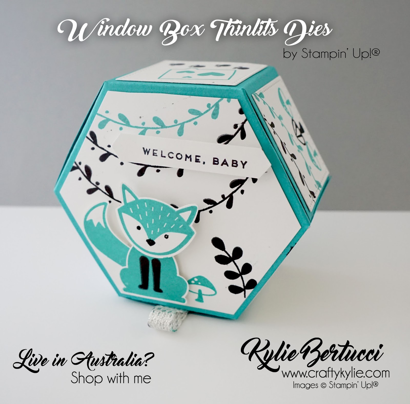 VIDEO: Window Box Thinlits Baby Gift Box - Kylie Bertucci