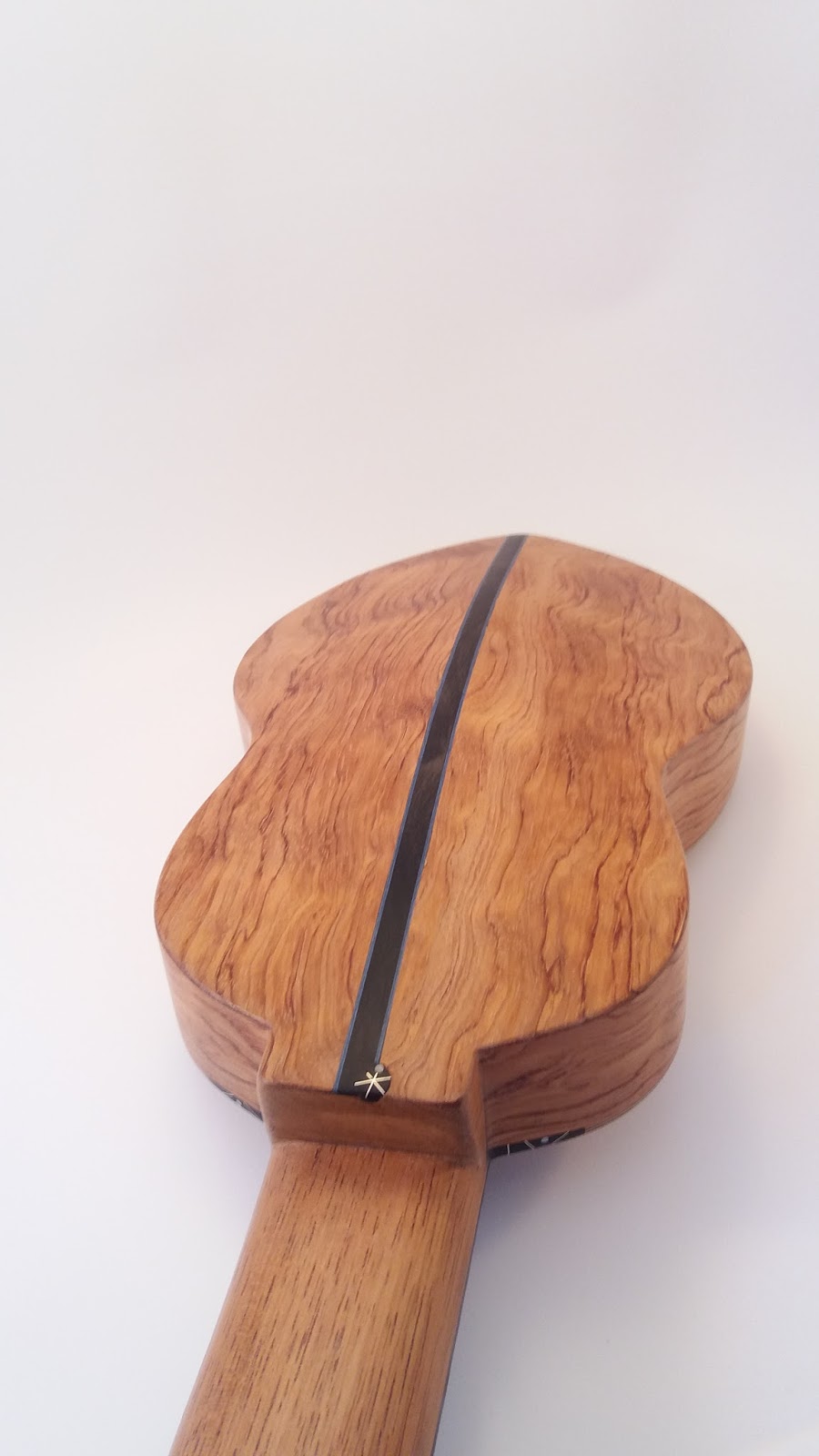 David Sánchez-Luthier: Timples