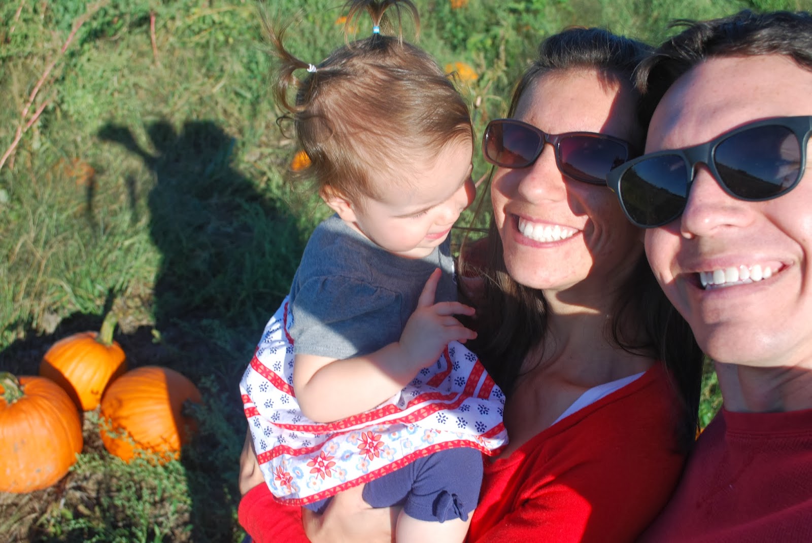 Molly Amelia Flynn: 2013-10-06