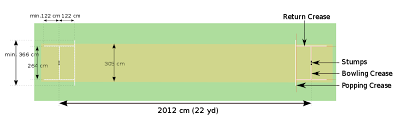 Cricket: The Cricket Pitch Dimensions