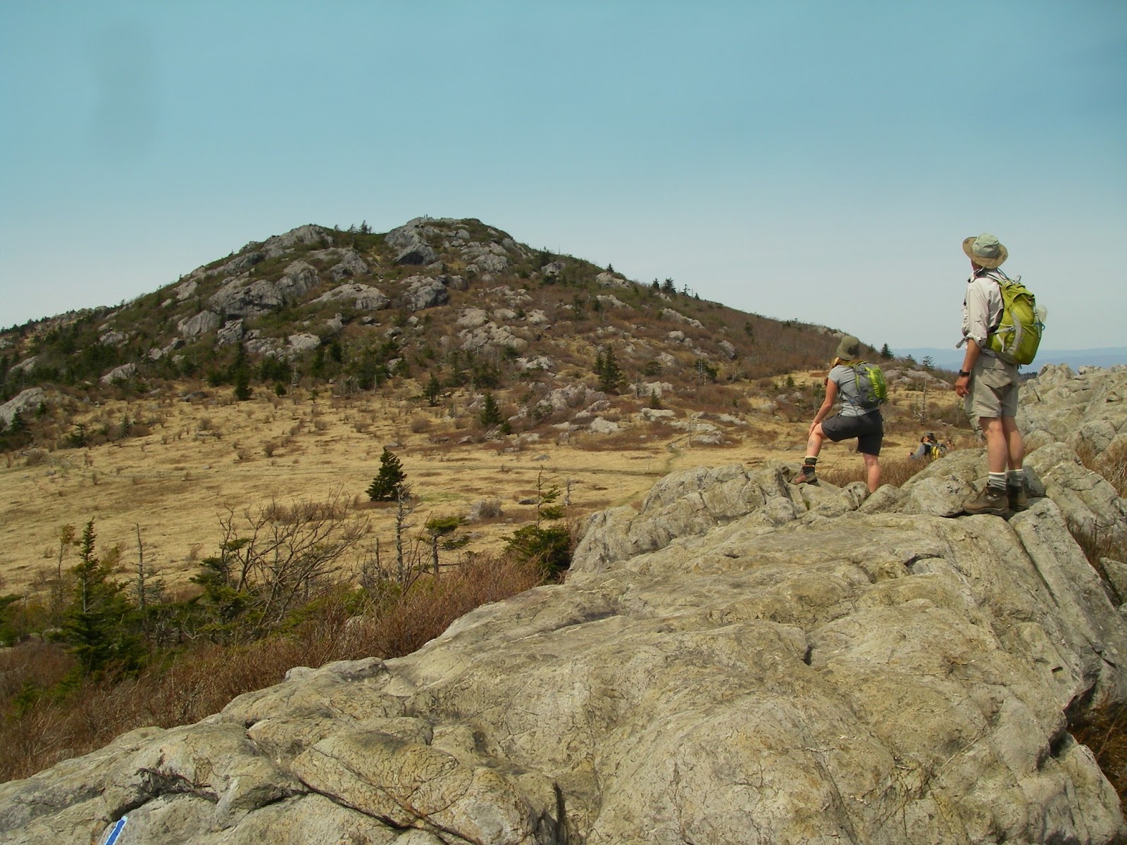 Peaks & Paths: Traversing The Mount Rogers High Country