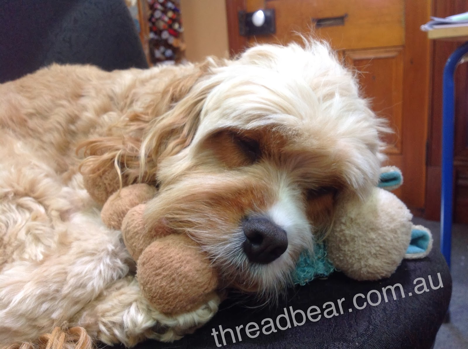 Threadbear: Whooooohooooooo