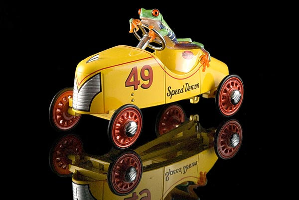 Hilltop Glimpses: Lesson from a Tree Frog