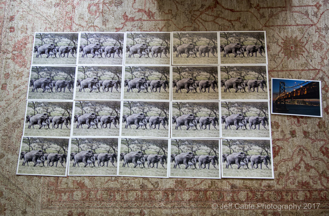 Printing my images on the Canon Pro-1000 printer using Hahnemühle paper ...