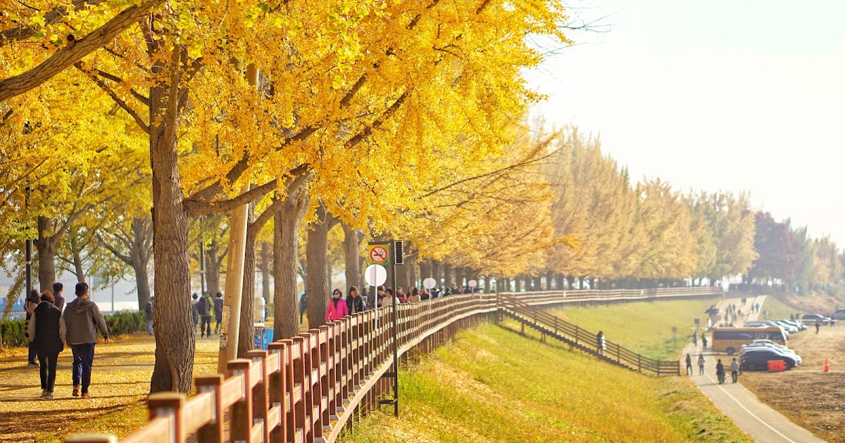 Must Visit Place to Enjoy Autumn in South Korea (Part I)