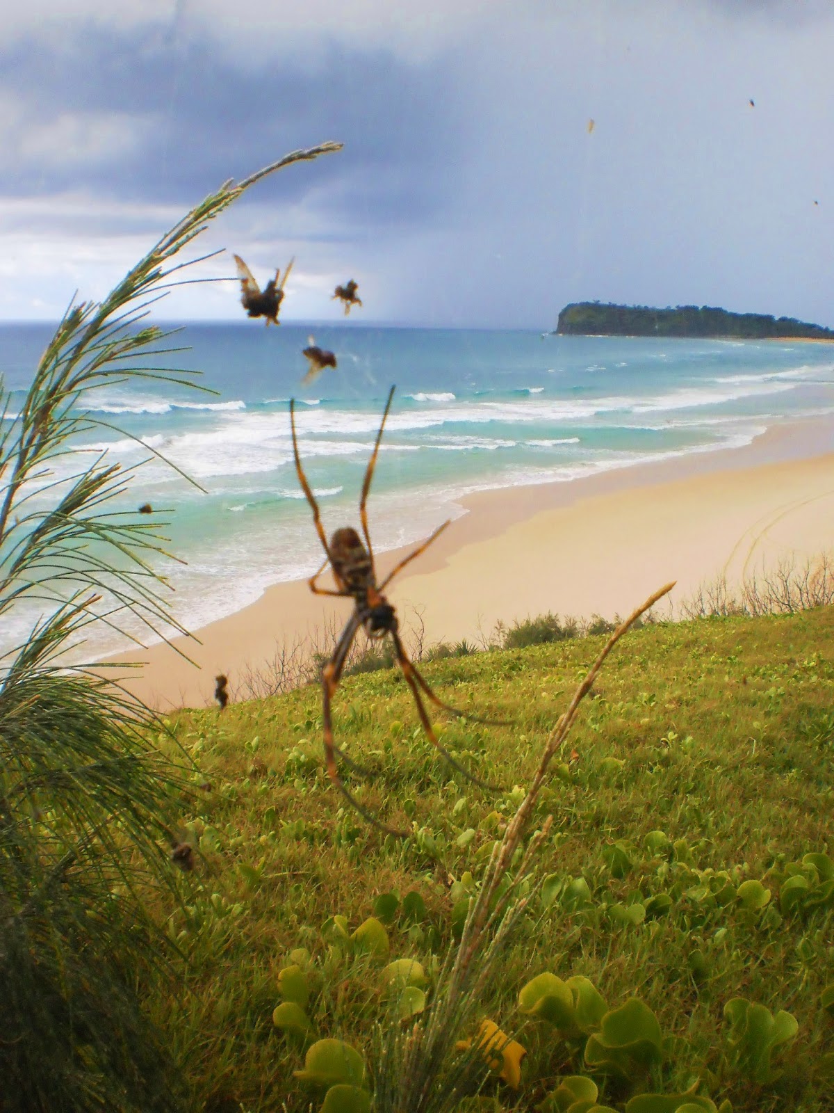 Robyn Holmyard: Printed Textiles Design