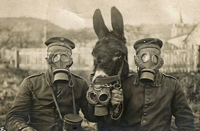 Meio Ambiente: Gás mostarda - O inicio das armas químicas