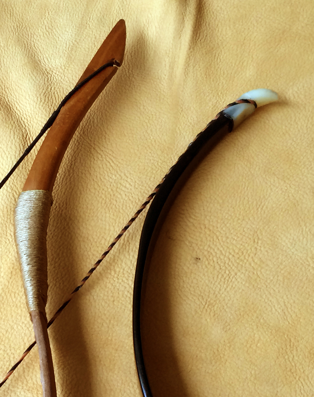 Dual Shelved Ambidextrous Bows