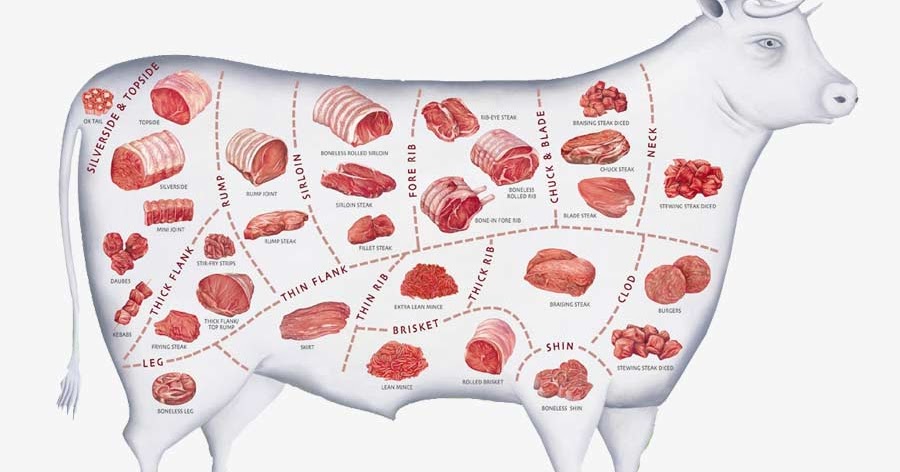 Easy Cooking: Beef Cuts