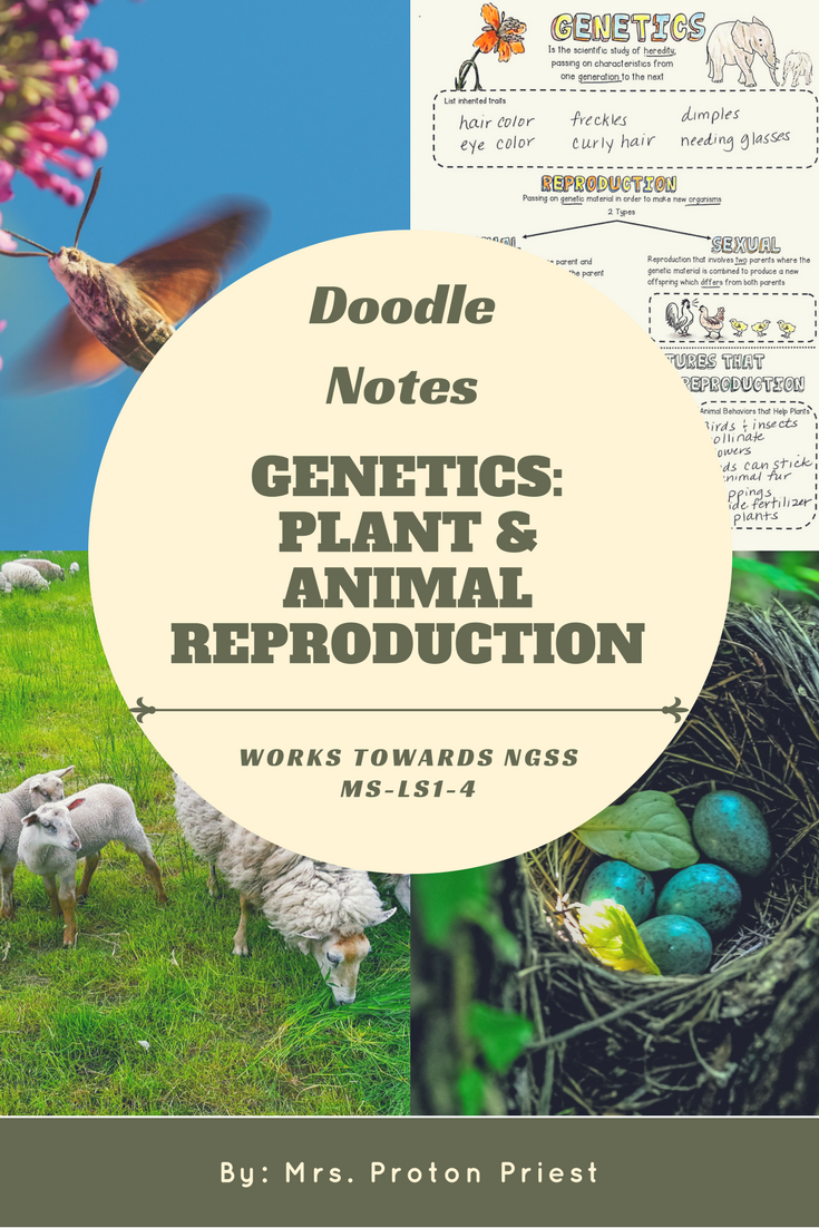 Genetics: Plant & Animal Reproduction Doodle Notes (NGSS MS-LS1-4 ...