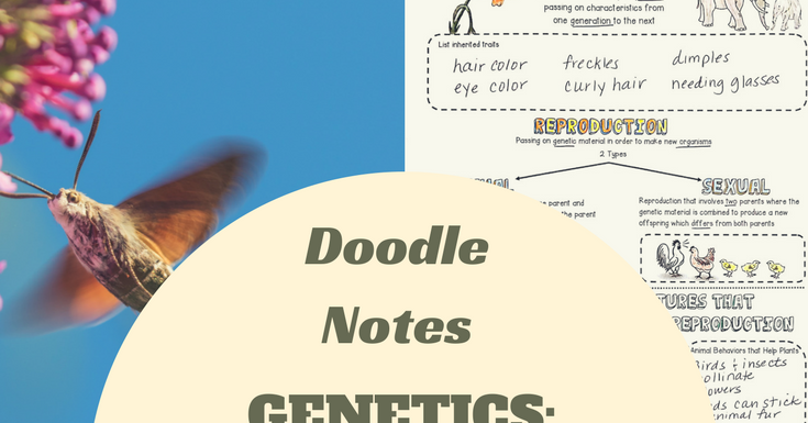 Genetics: Plant & Animal Reproduction Doodle Notes (NGSS MS-LS1-4 ...