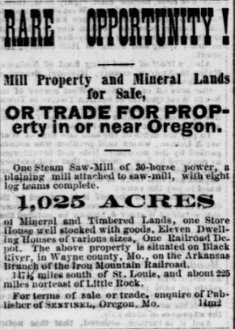 19th Century Historical Tidbits: 1875 Advertisements and Story Starters