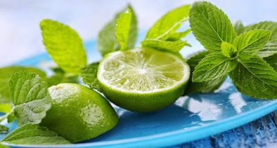 A MAGYAROK TUDÁSA: A MENTA