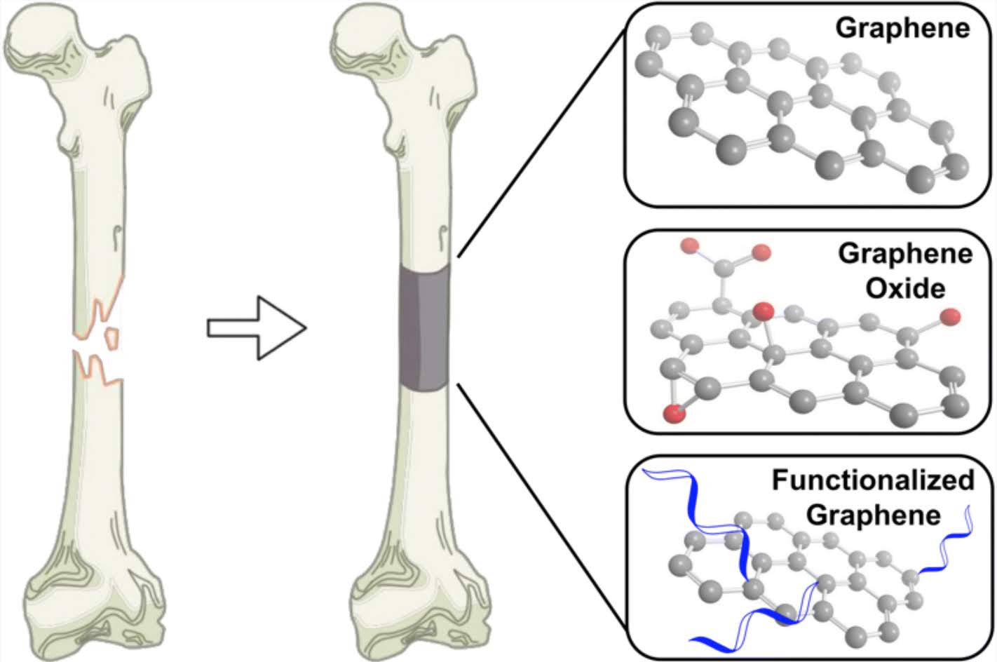 The Sydlik Group at Carnegie Mellon: Functional Graphenic Materials as ...