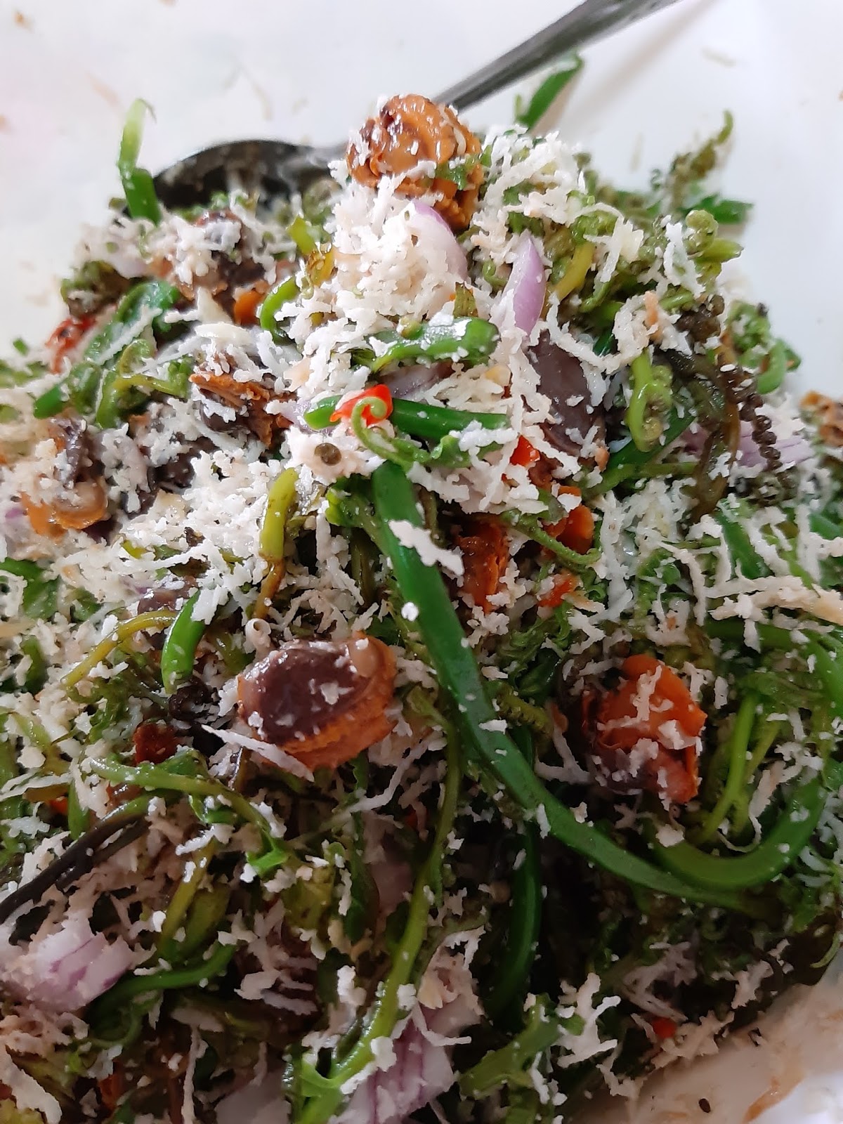 DANA: Resepi kerabu pucuk paku kerang