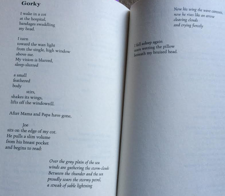 The Verse Novel Review: Melanie Crowder's _Audacity_