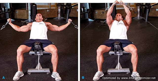 افضل 10 تمارين لتضخيم عضلات الصدر - محاربين الفتنس