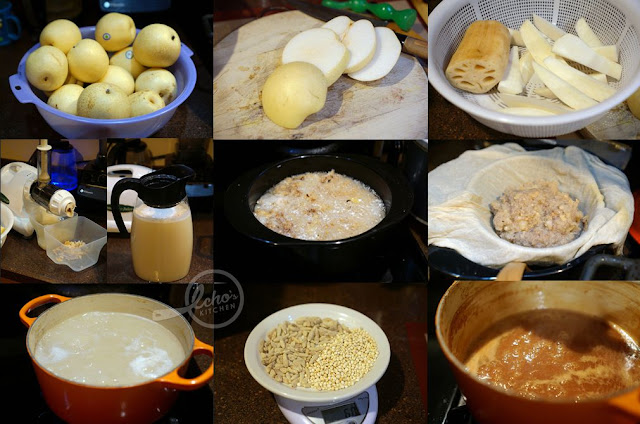 A taste of memories -- Echo's Kitchen: Autumn Pear Paste 【秋梨膏】