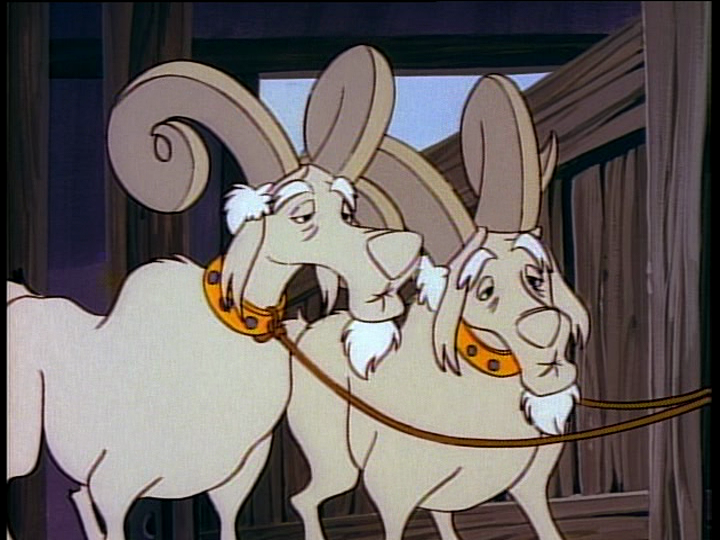 Erin's Blog: Goats and Rams