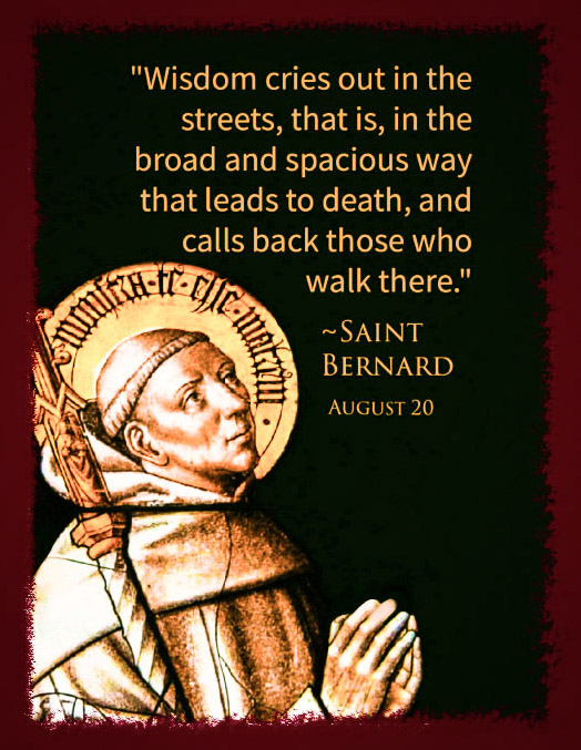 Never Give Up: Saint Bernard: "Wisdom Cries Out..."