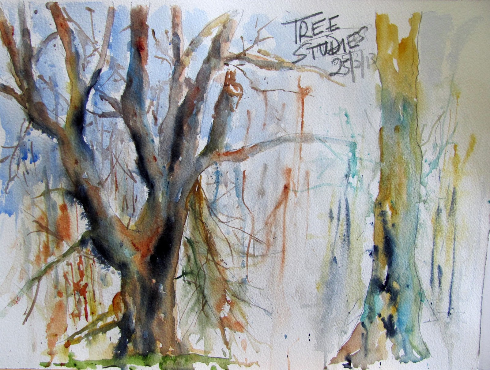 The Watercolour Log: Tree Studies
