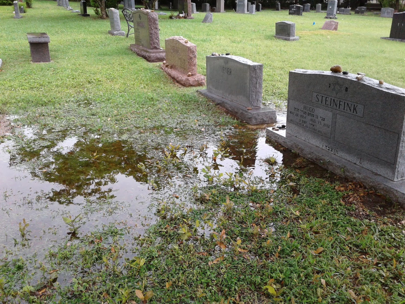 Protect Austin Cemeteries from PARD!: Not-So-Benign Neglect