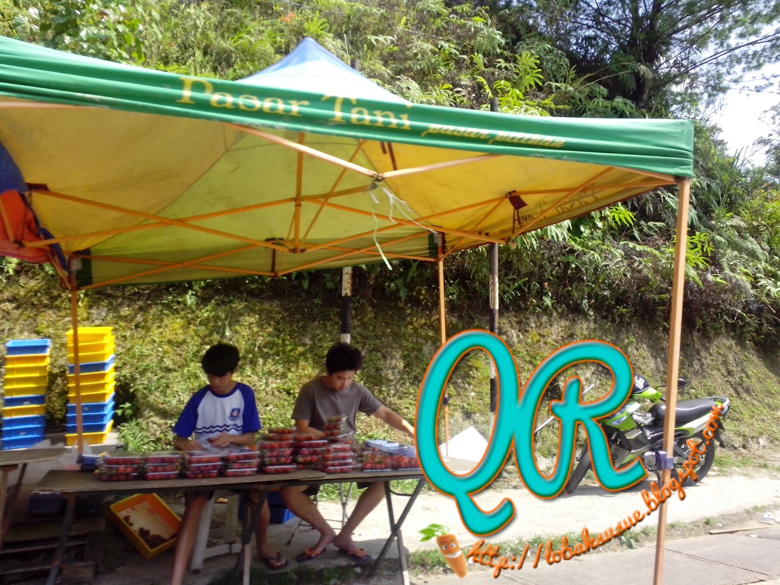 Kea Farm, Cameron Highland