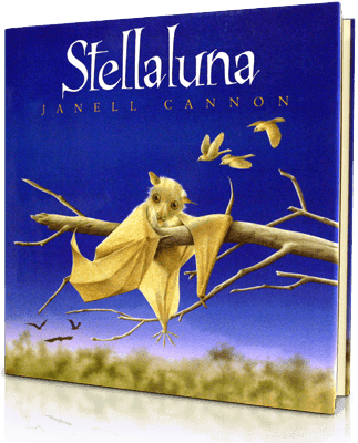 Mrs. MeGown's Second Grade Safari: Stellaluna Literacy Activities ...