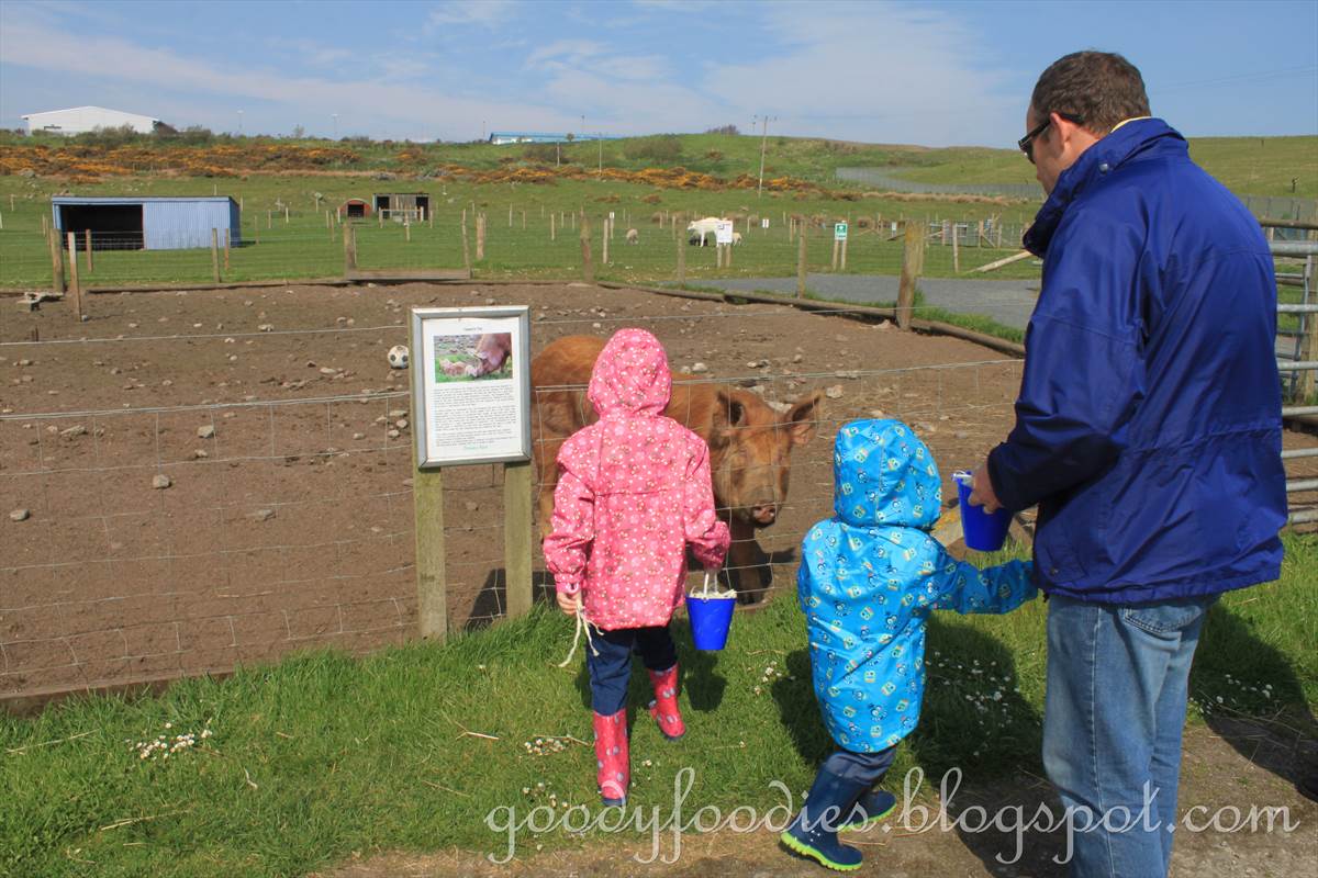 GoodyFoodies: Kids Fun: Doonies Farm, Aberdeen, Scotland