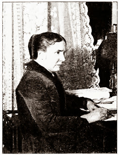 Wild West History: 2013