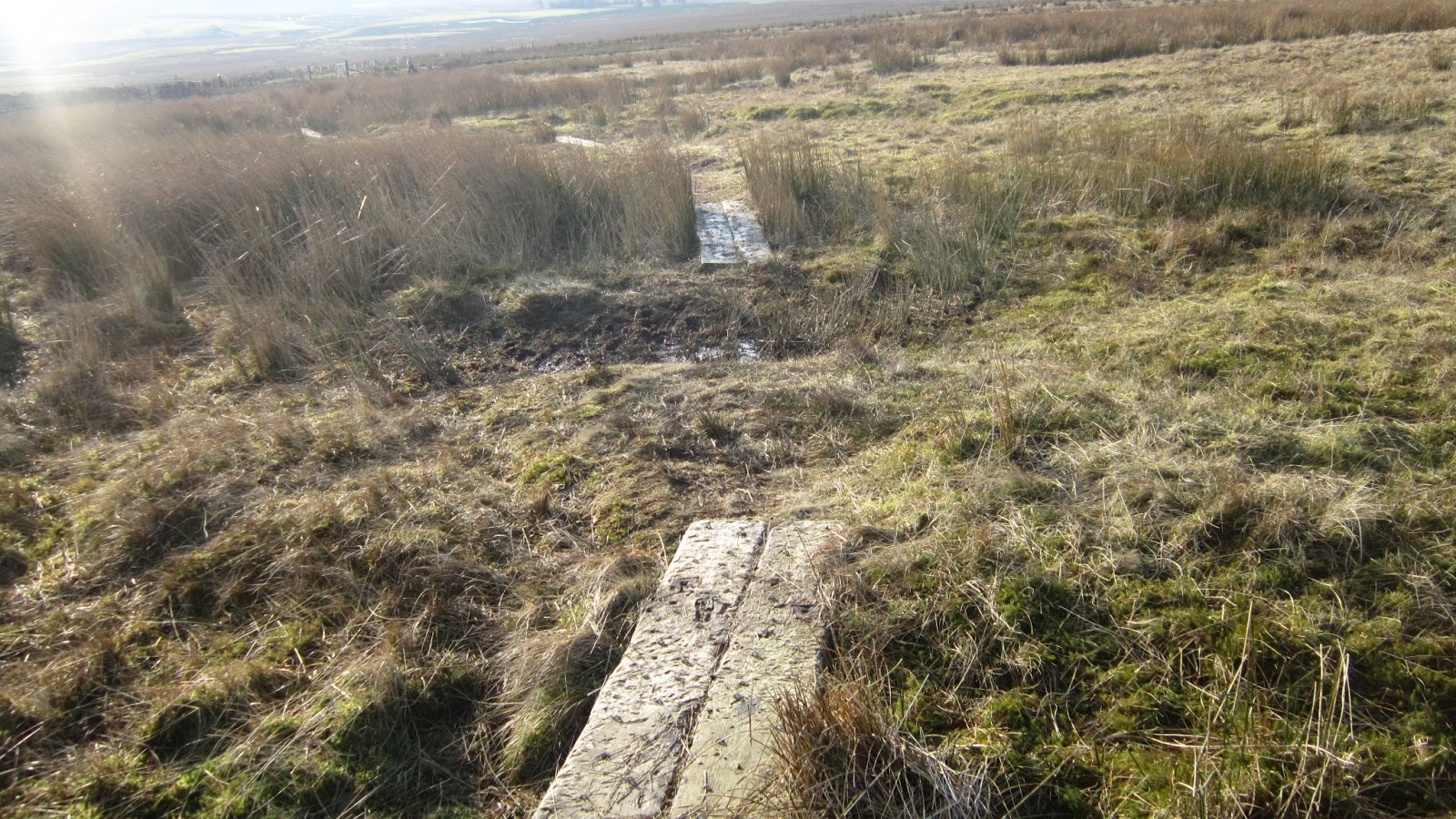 Trail Running Adventure of a Happy Old Plodder: Two Cairns and a Slap