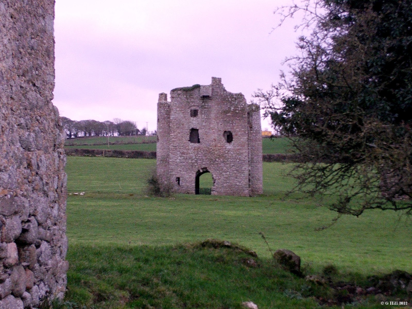 Ireland In Ruins: Ballyloughan Castle Co Carlow