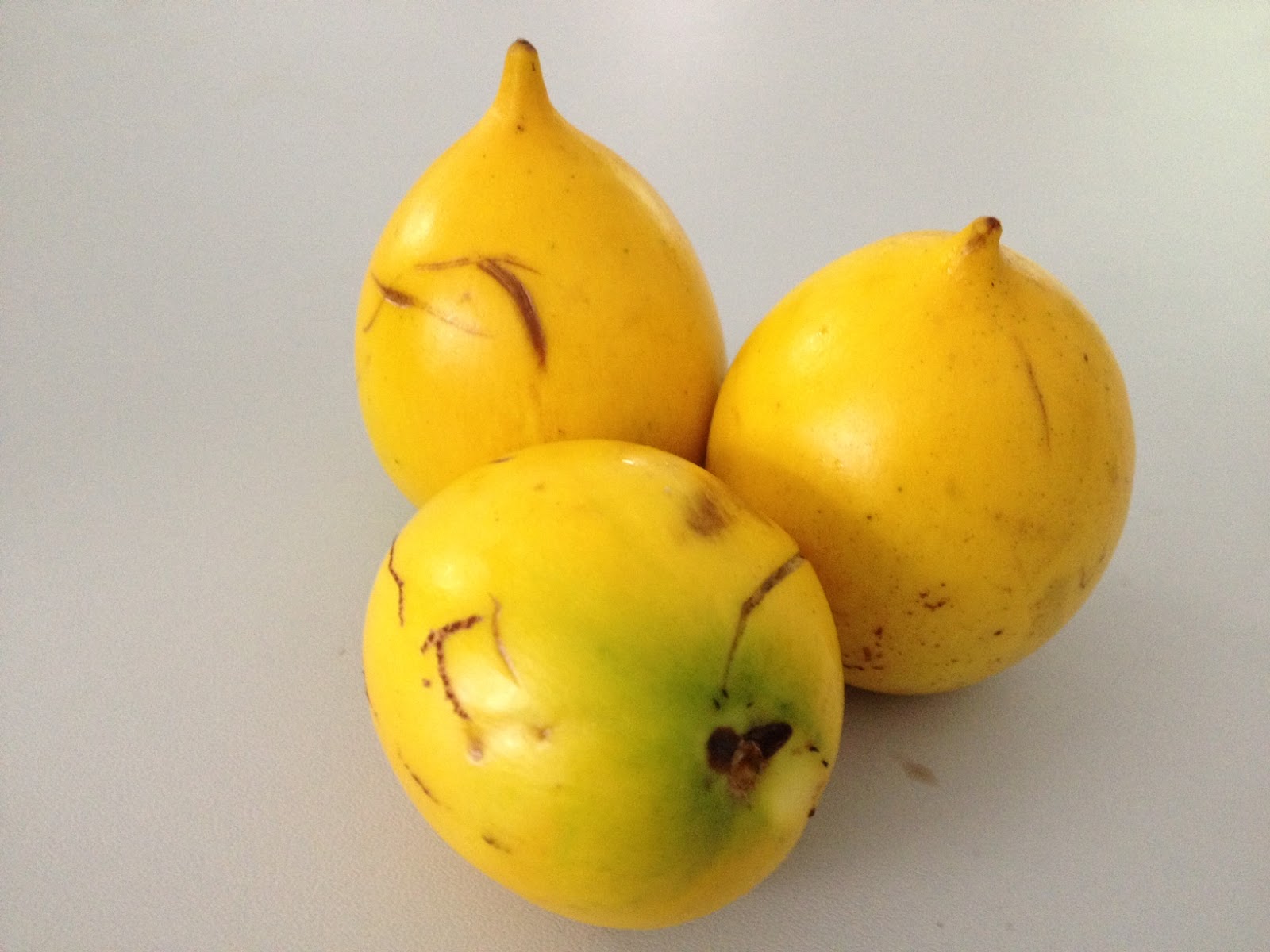 1000 e Uma Especiarias: Abiu, mais uma delícia, das muitas que vêm da ...