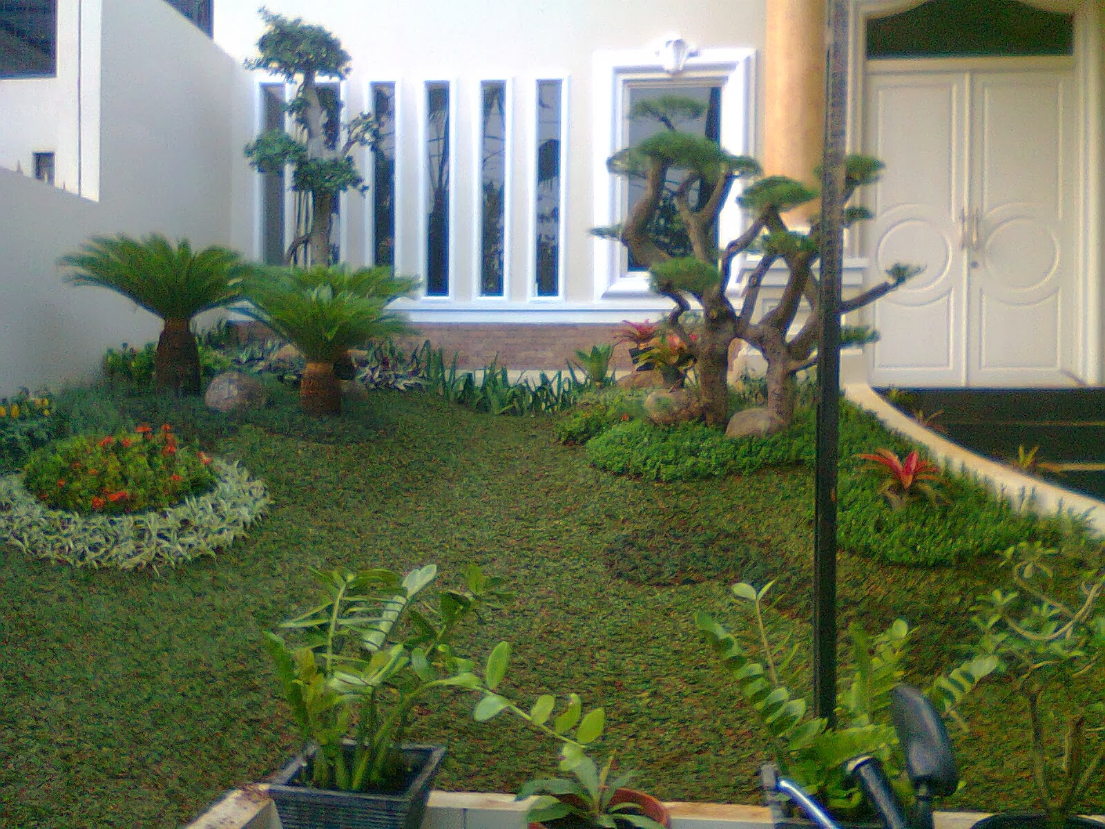 tukang taman hias|tukang rumput hias | LOVE GREEN