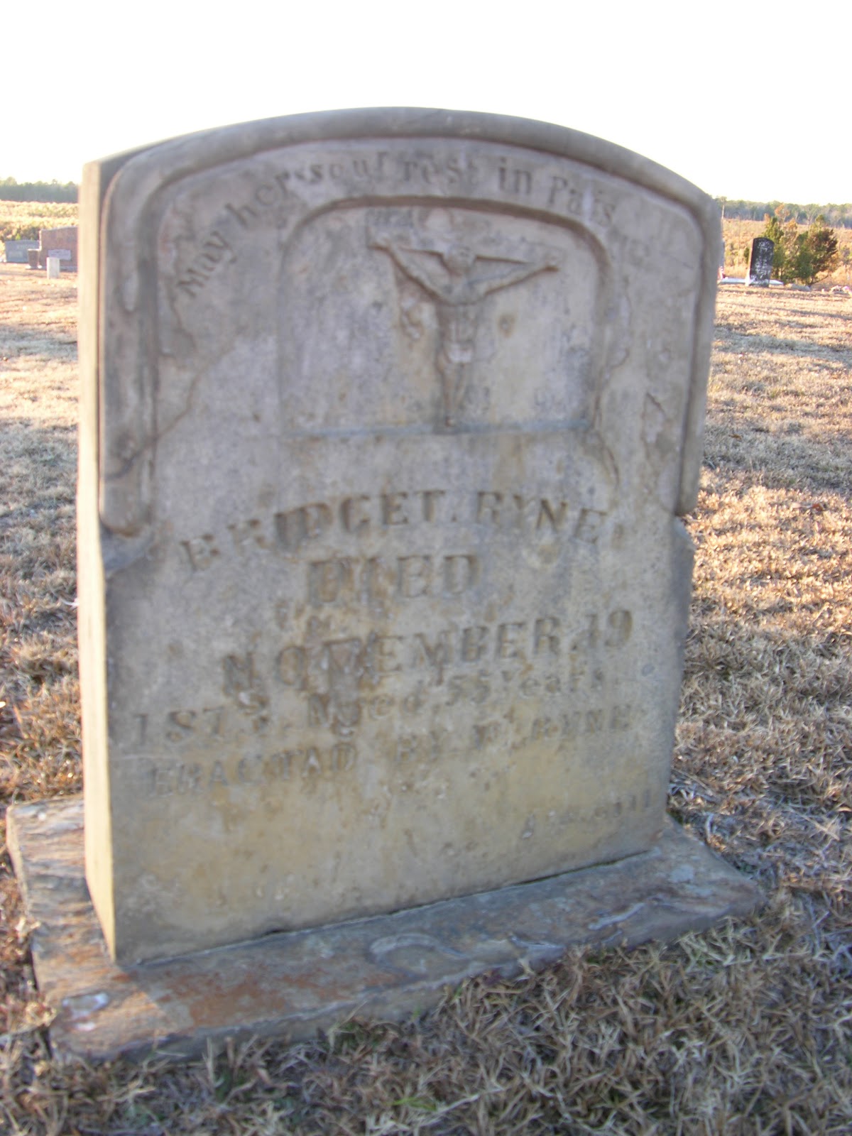 Bilgrimage: Family and Serendipity: Dancing with the Ones That Bring Us