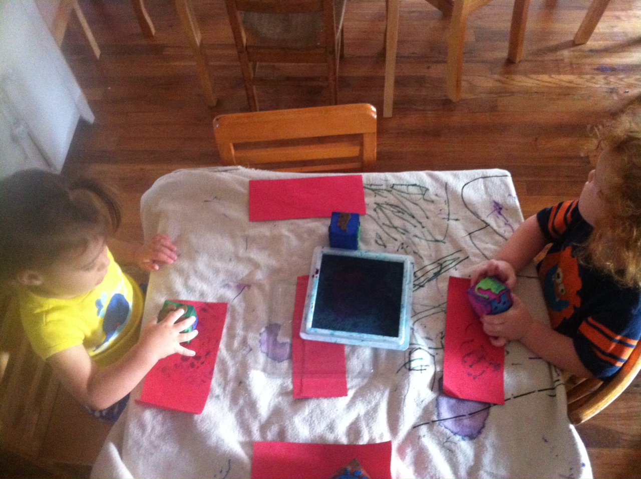 Tumbleweed Infant and Preschool House: What's a Provocation?