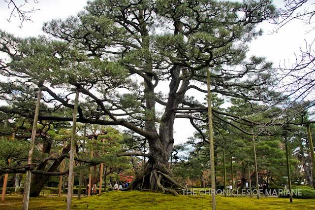 Kanazawa Travel Guide | The Chronicles of Mariane