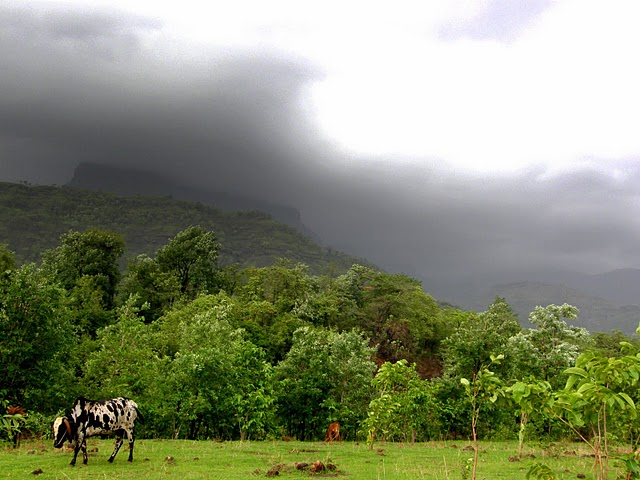 Hyderabad Trekker and Trekking in India : Nalichi Vaat Trek