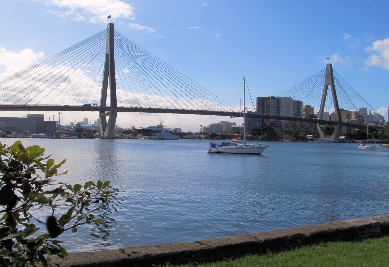 Rozelle Bay to Pyrmont Bay | Our Walks