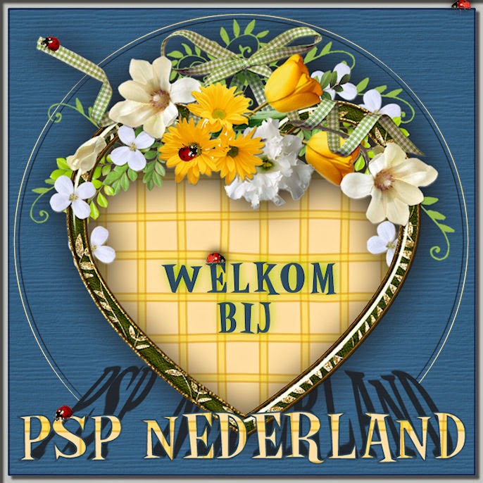 PSP Nederland Lessen