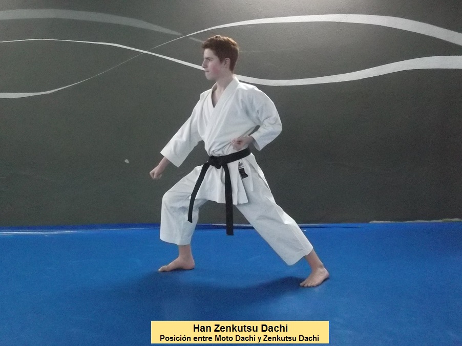 KARATE SHITO RYU ASTURIAS: Posiciones de Karate (Tachi Kata).
