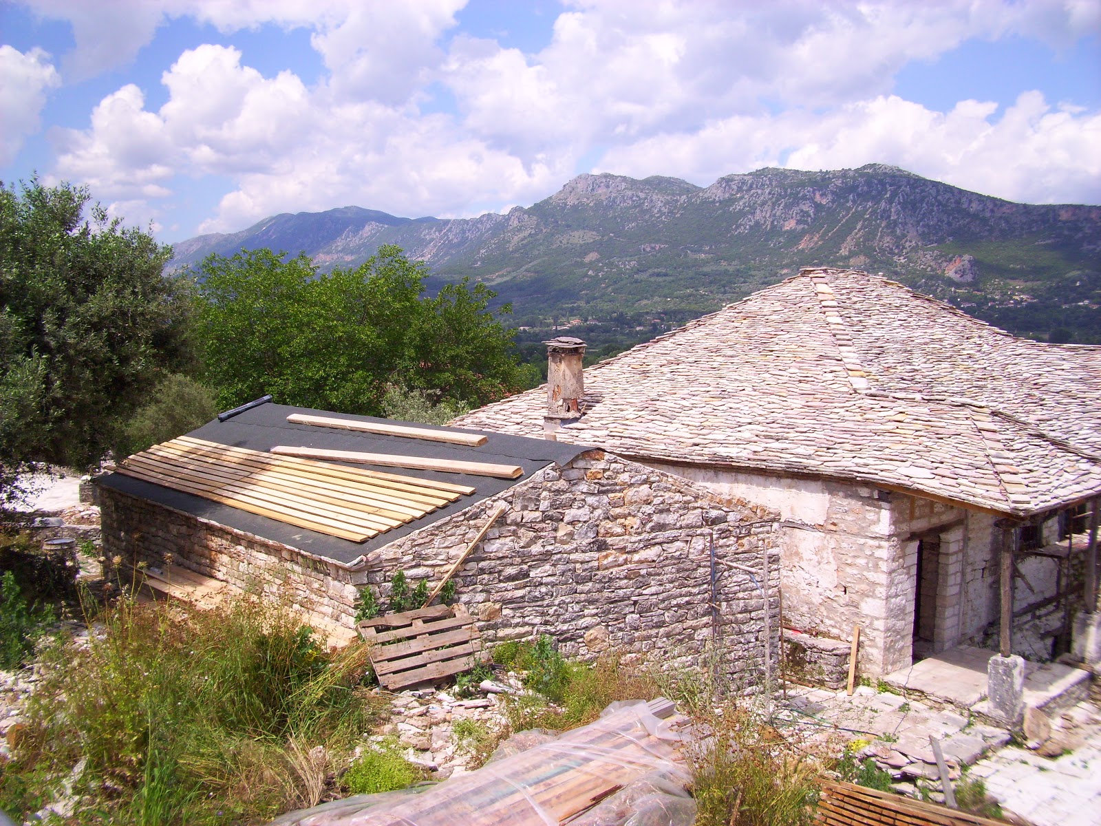 oprotomastoras: Νοεμβρίου 2012