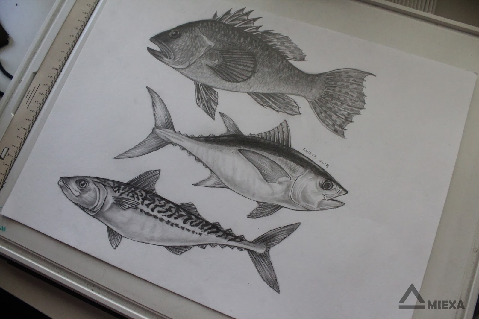 Seni Perahu Kertas: Contoh-Contoh Lukisan Realistik Hidupan Laut