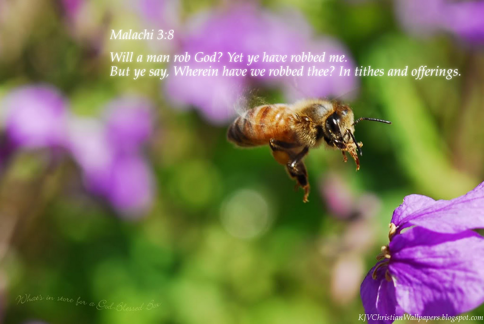 WORD of TRUTH Lighthouse ": " Render unto Caesar..... Mark 12:17