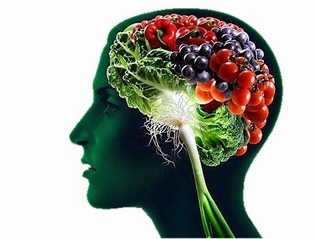 Nutrition du Cerveau: Nourrir son Cerveau