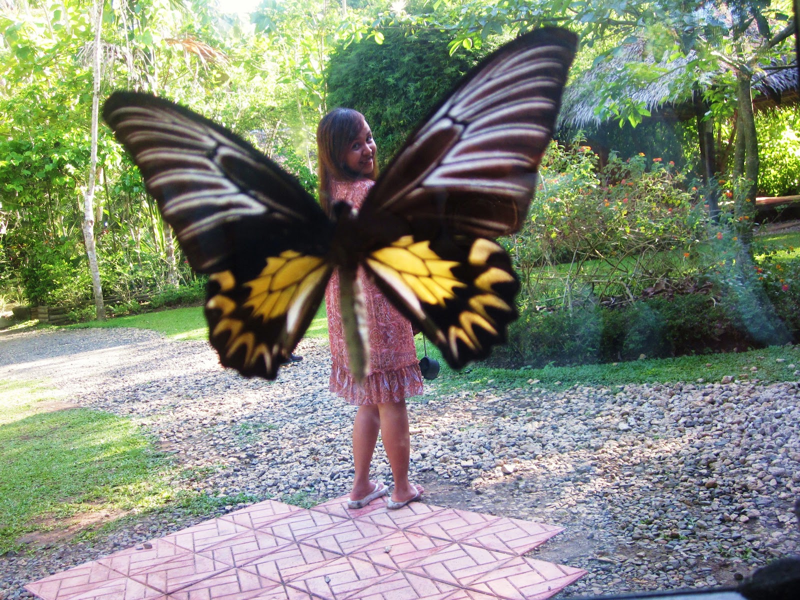 the traveller & her thoughts: BUTTERFLY GARDEN (bohol)