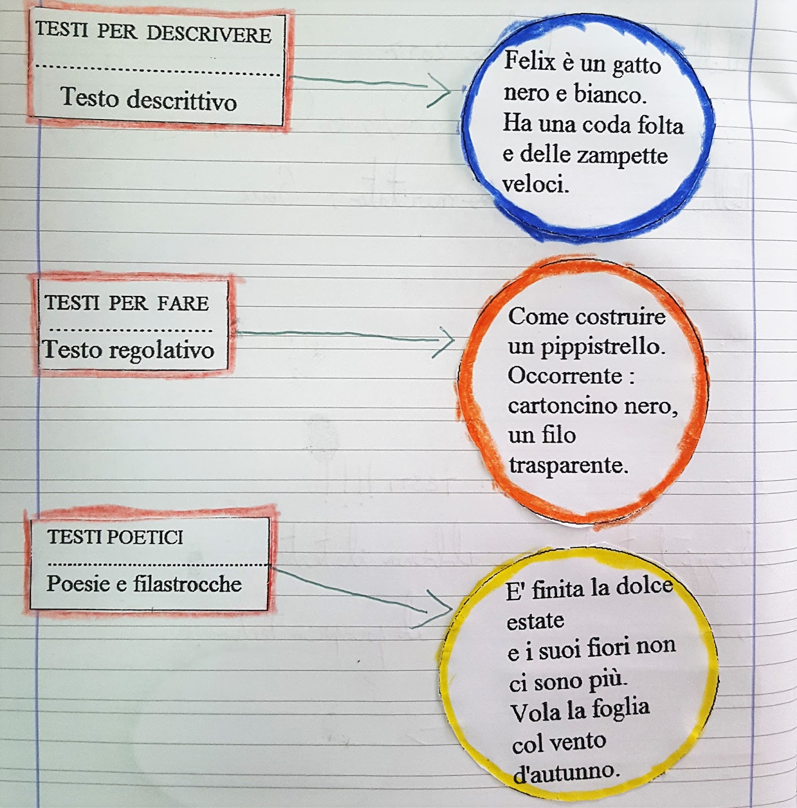 matiteinvolo: Viaggio nei testi