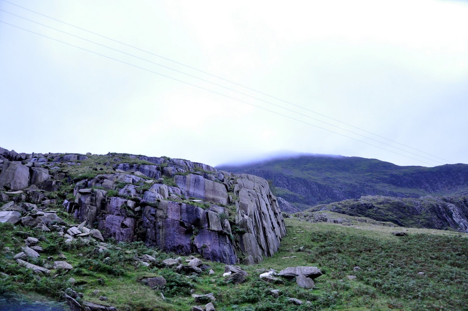 peppercorns in my pocket: Araf, araf, araf